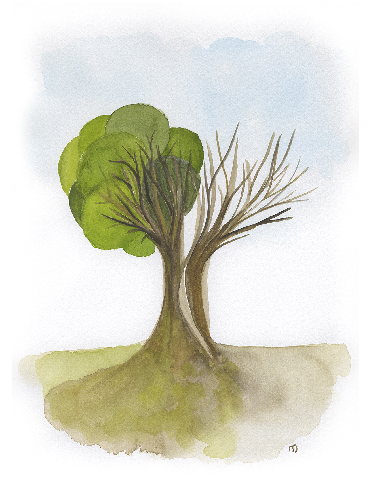 duality tree – Marina Kanavaki