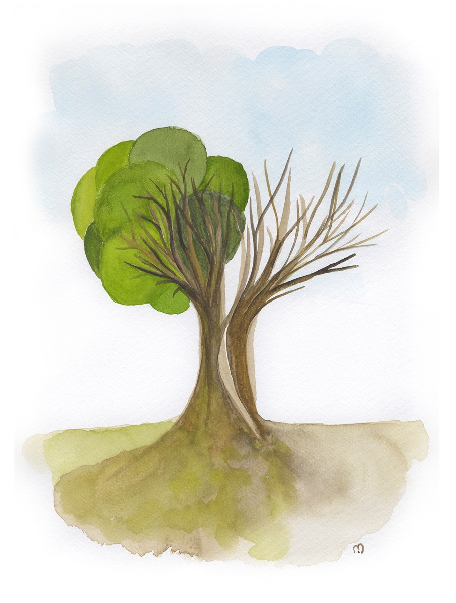 duality tree – Marina Kanavaki