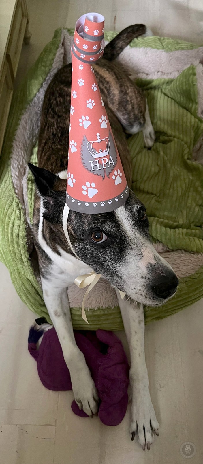 7 years with Hera! – Marina Kanavaki